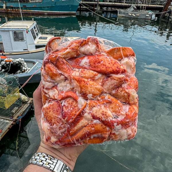 Buy Shellfish Online | SoPo Seafood | Maine Shellfish Delivery
