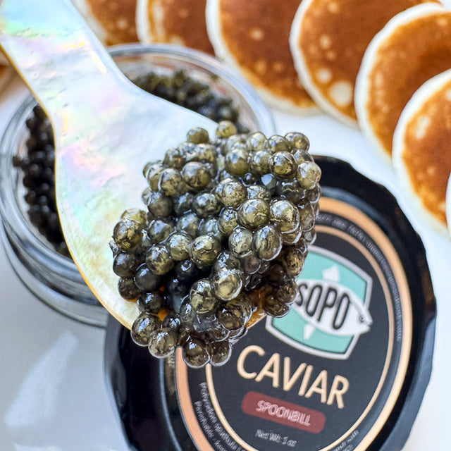 Spoonbill Caviar | Buy American Caviar Online – SoPo Seafood