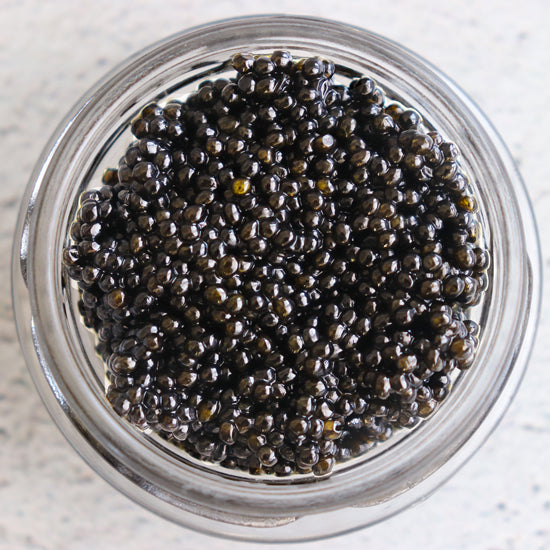 Hackleback Caviar | Buy Hackleback Caviar Online – SoPo Seafood